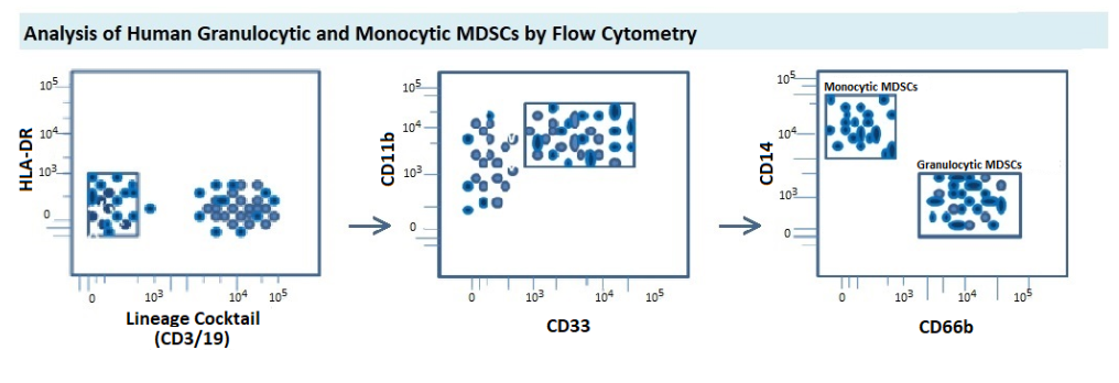 Using Flow Cytometry to Characterize Myeloid Derived Suppressor Cells ...