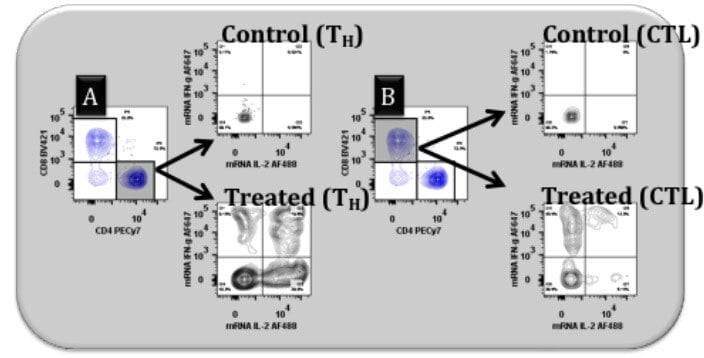 Lost in Translation: Detection of mRNA by Flow Cytometry