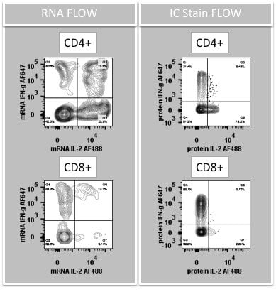 Lost in Translation: Detection of mRNA by Flow Cytometry