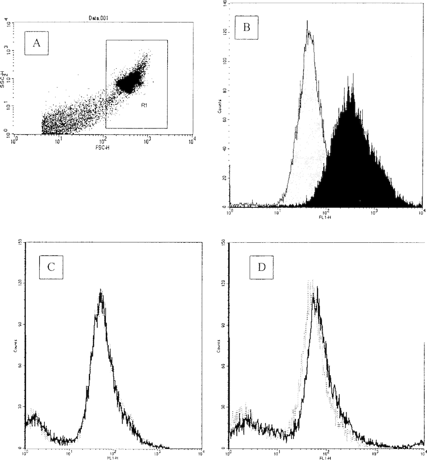 New Cytometric Horizons using Spectral Flow Cytometry