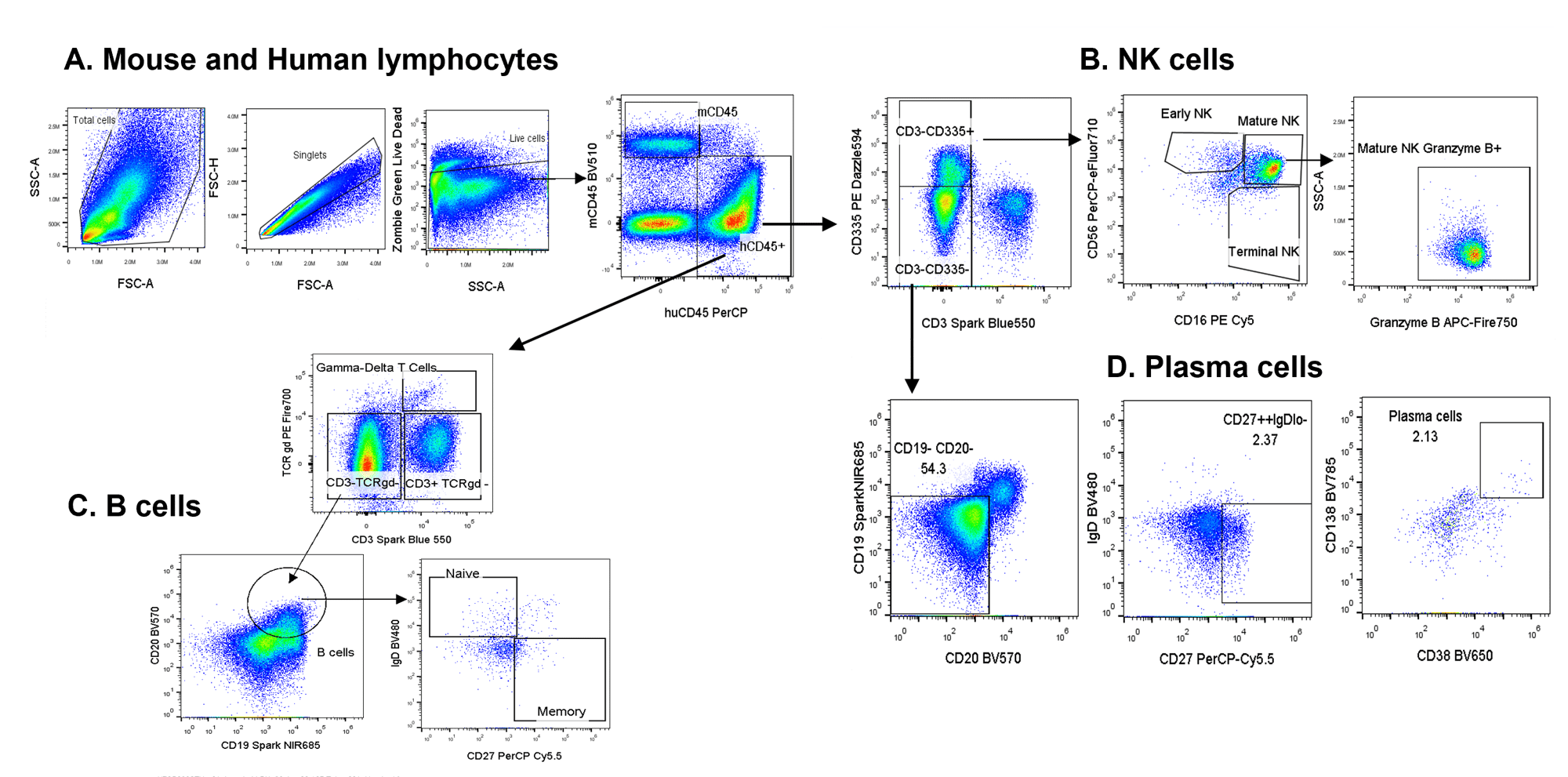 Large Panel Design to Identify Human and Mouse Lymphocyte Subsets Using ...