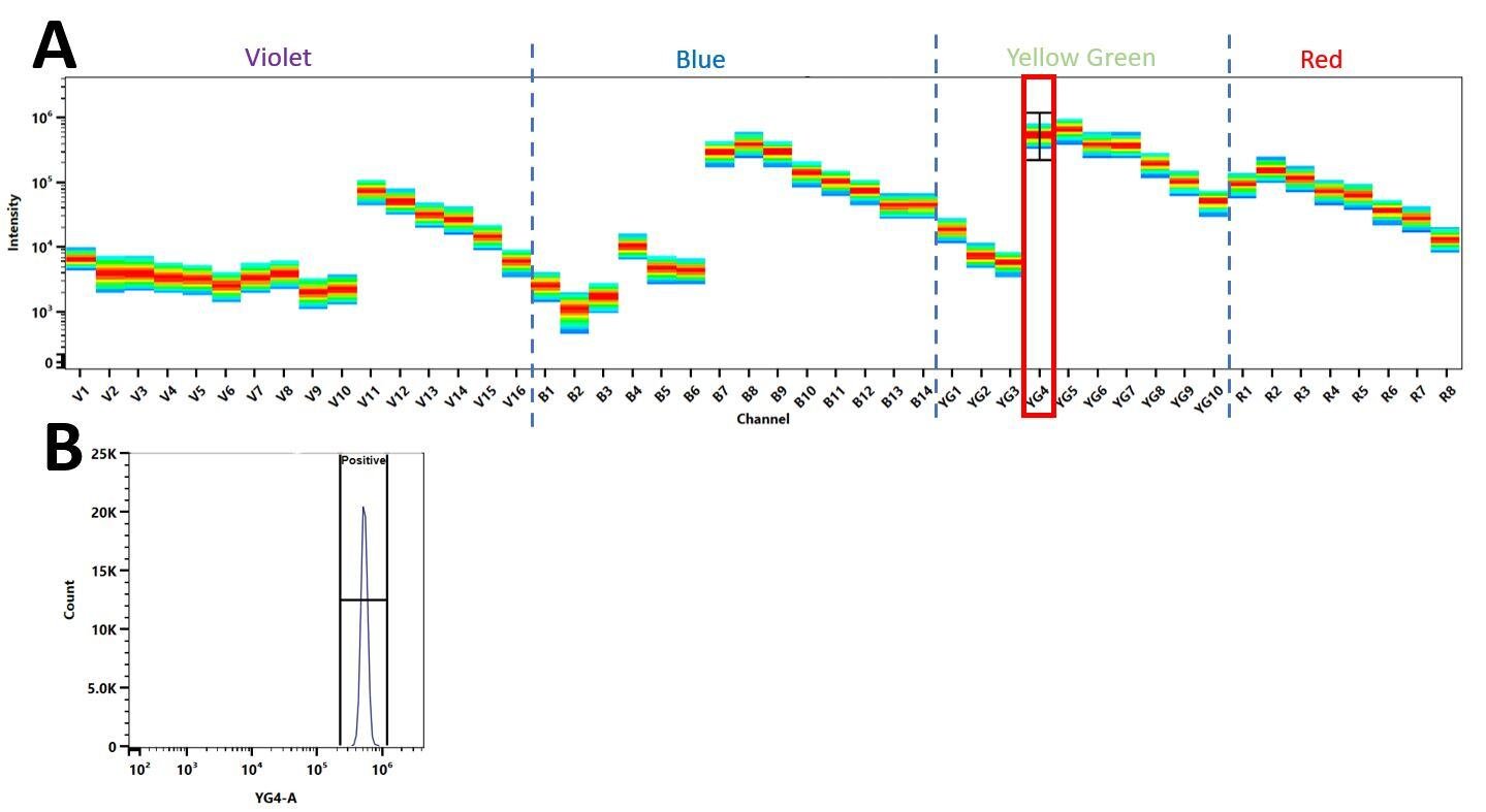 The Technology Behind Spectral Flow Cytometry
