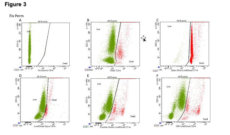 Live Dead Measurement and Cell Viability