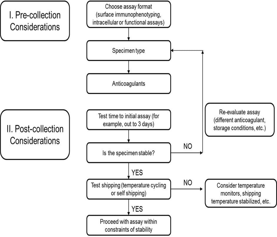 Specimen Stability Considerations During Flow Cytometry Assay ...