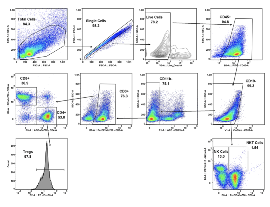 Enhancing Immuno-Oncology Research: Top 5 Essential Flow Cytometry Assays