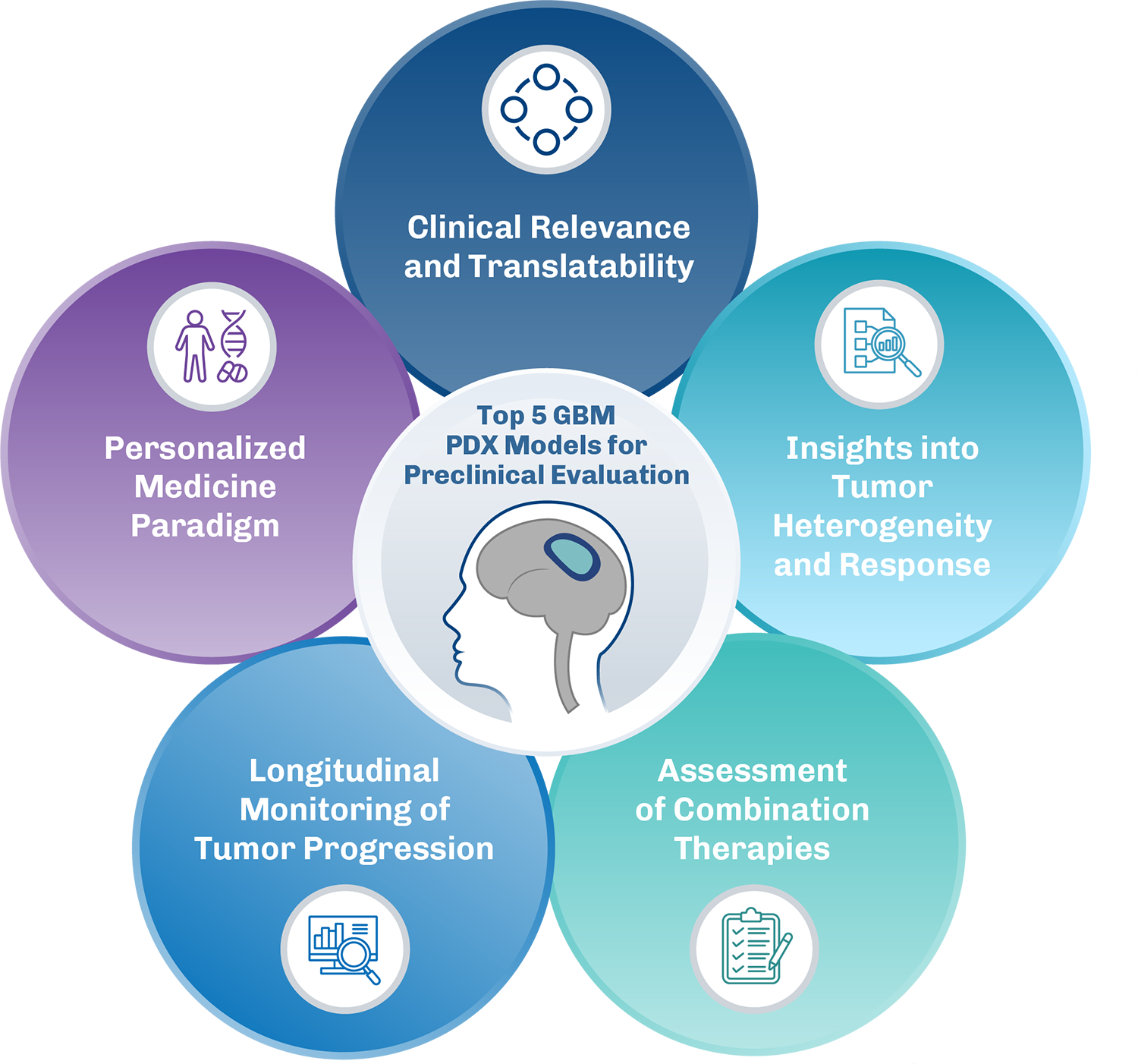 Unlocking Insights: Top 5 Reasons to Incorporate Orthotopic GBM PDX ...