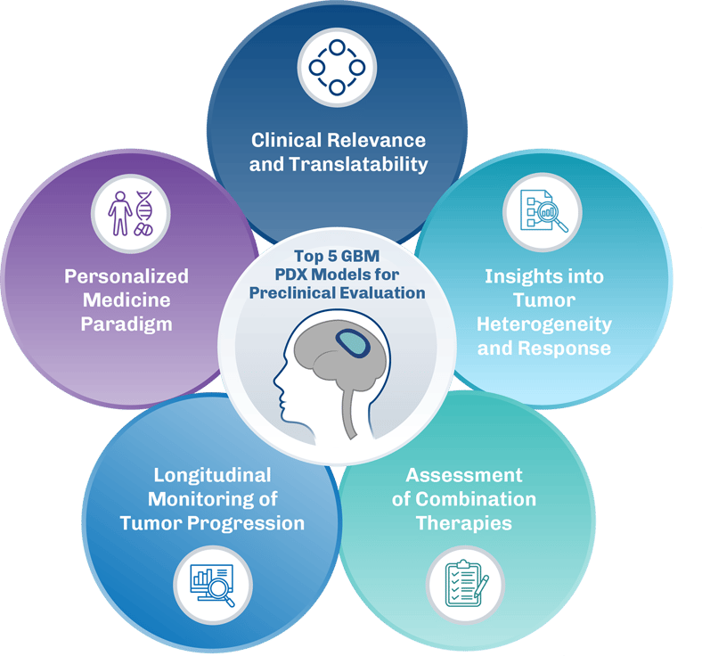 Unlocking Insights: Top 5 Reasons to Incorporate Orthotopic GBM PDX ...